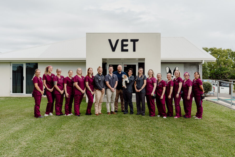 Meet the Nissen Street Veterinary Surgery Team